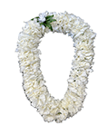 Product Search - The Hawaiian Lei Company